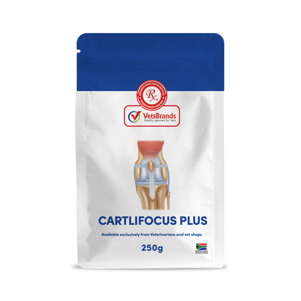 VetsBrands Cartlifocus+ – All Pets Vet Store