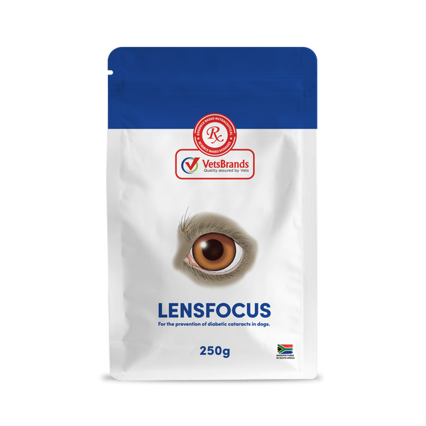 VetsBrands LensFocus – All Pets Vet Store
